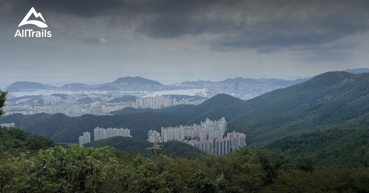 Best views trails in Suyeong-gu | AllTrails
