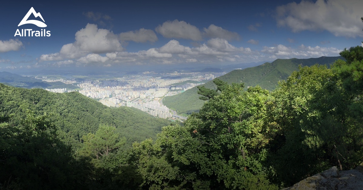 Best wildflower trails in Nam-gu | AllTrails