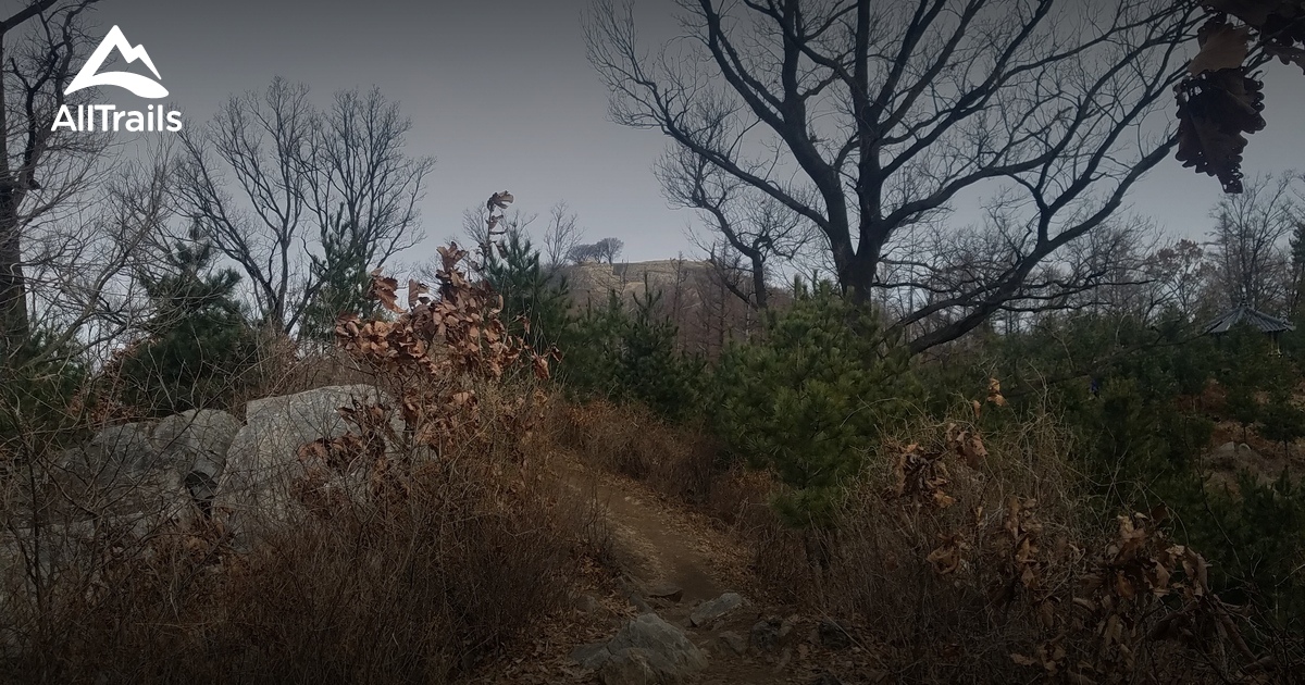 Best hikes and trails in Daedeok-gu | AllTrails