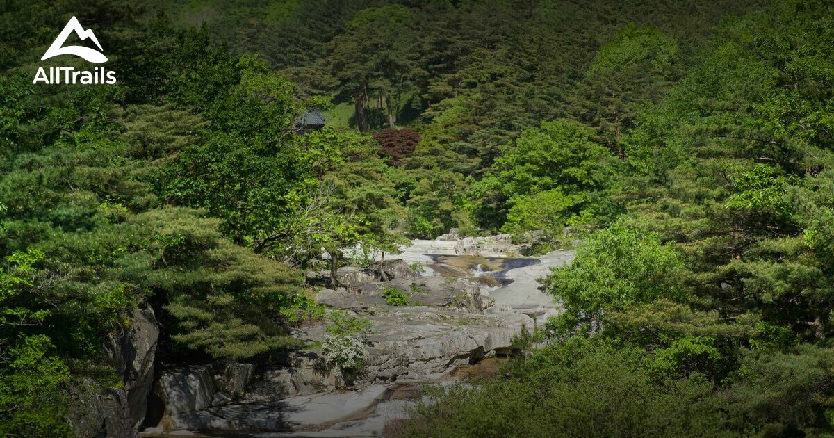 Best hikes and trails in Donghae-si | AllTrails