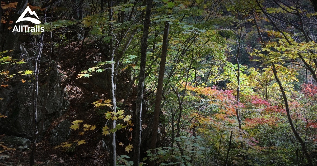 Best hikes and trails in Hoengseong-gun | AllTrails