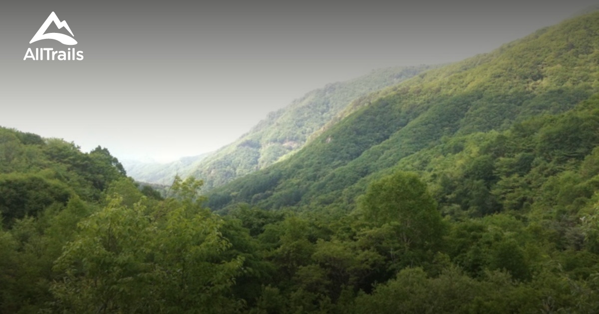 Best hikes and trails in Hwacheon-gun | AllTrails