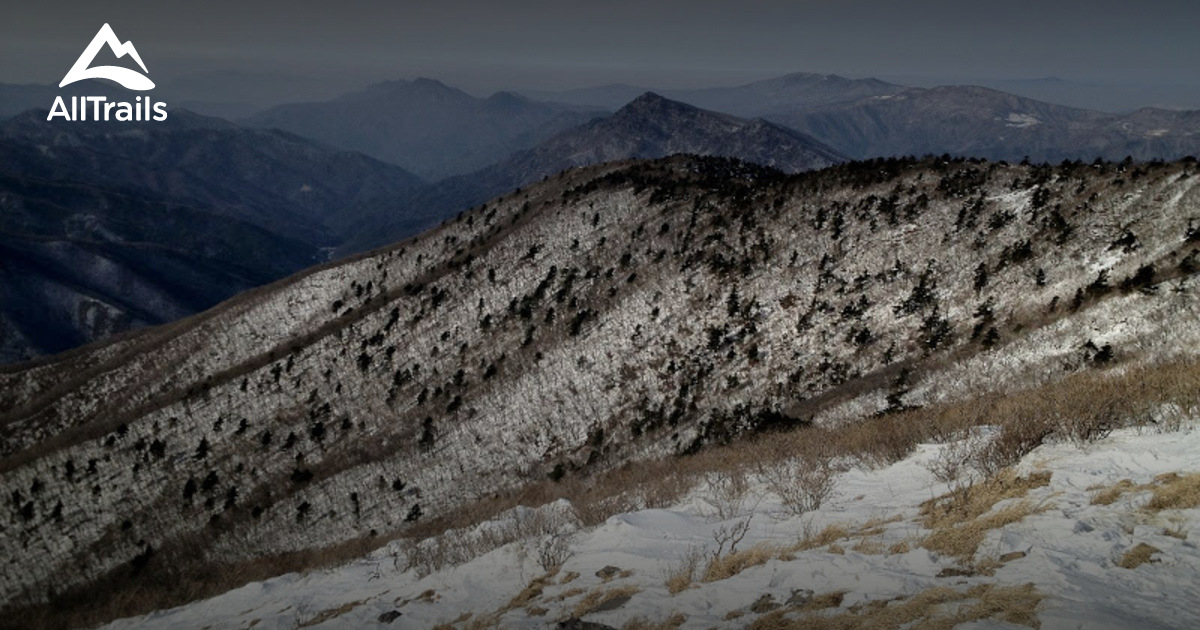 Best hikes and trails in Taebaek-si | AllTrails