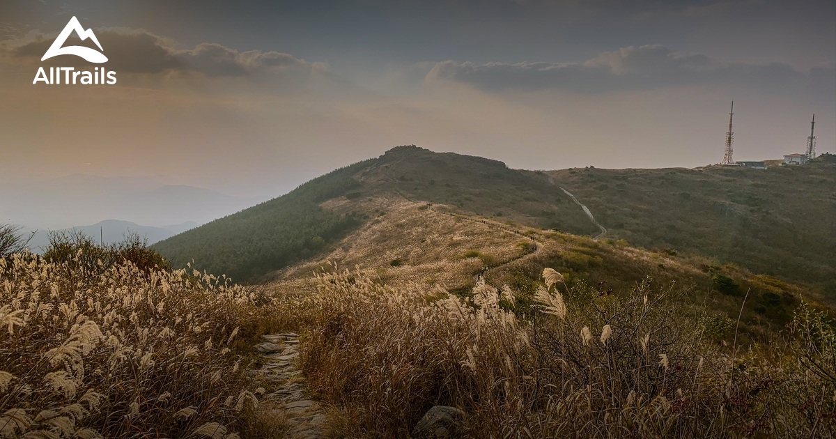 Best hikes and trails in Dong-gu | AllTrails