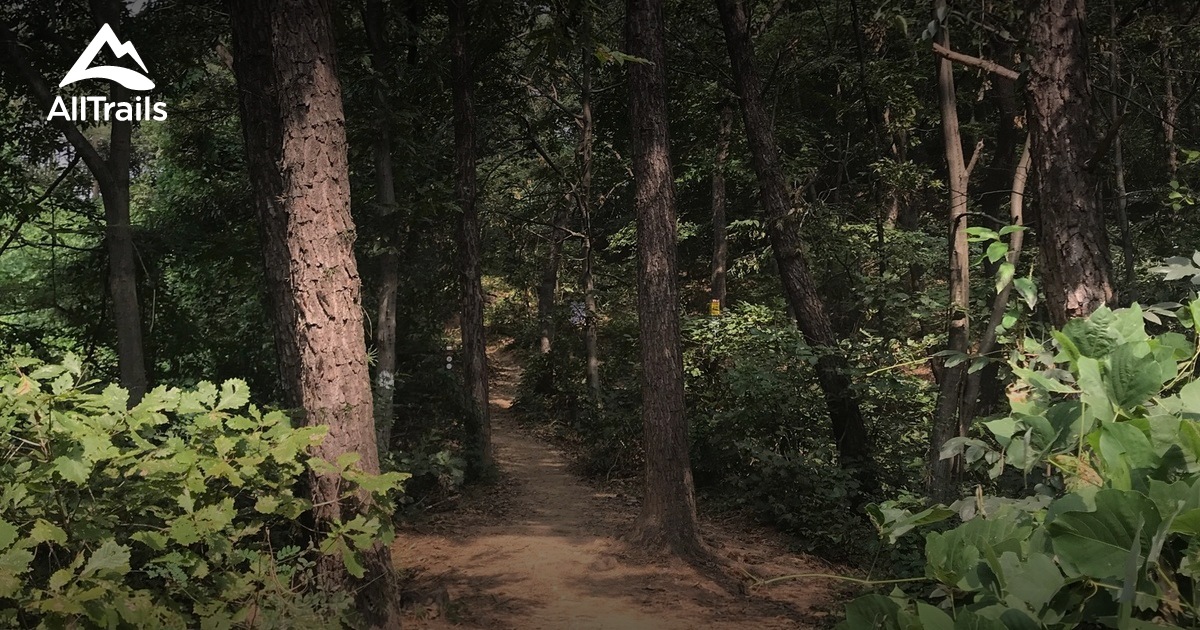 Best Trails near Pyeongtaek-si, Gyeonggi-do South Korea | AllTrails