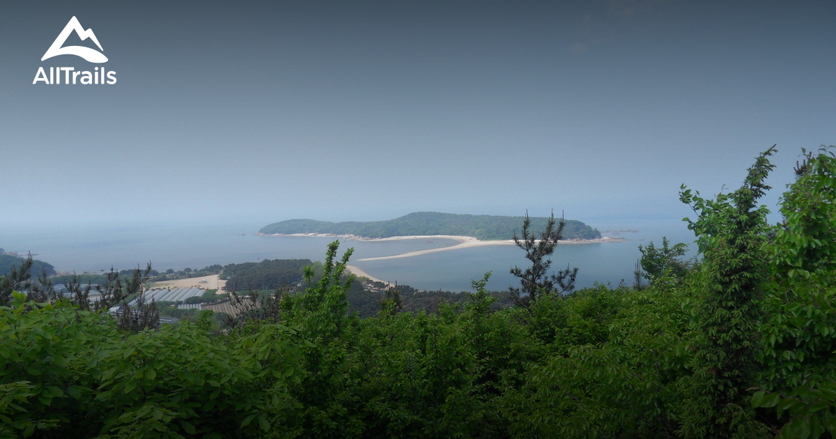 10 Best trails and hikes in Jung-gu | AllTrails