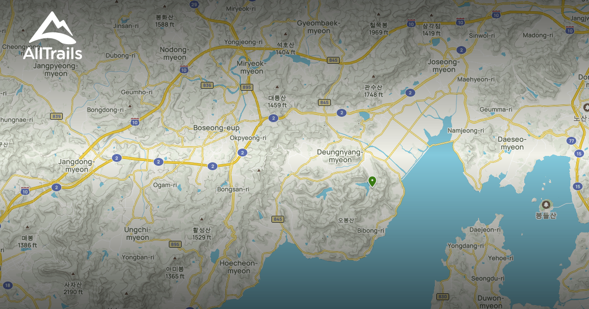 Best forest trails in Boseong | AllTrails