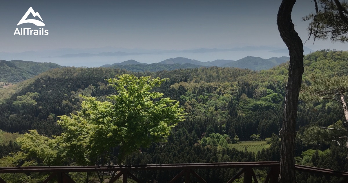 Best hikes and trails in Boseong-gun | AllTrails