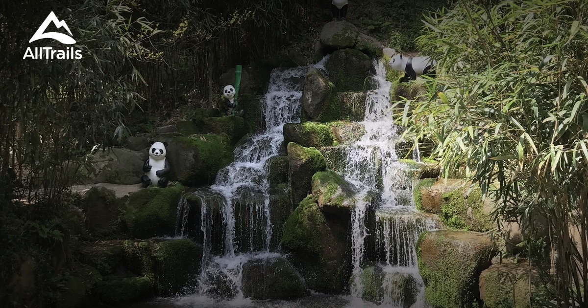 Best hikes and trails in Damyang-gun | AllTrails