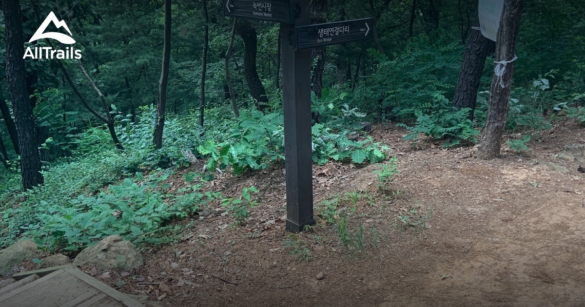 10 Best trails and hikes in Seodaemun-gu | AllTrails