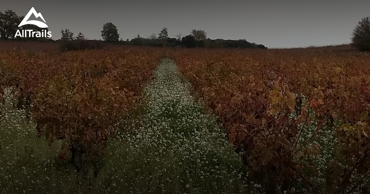 Laguardia : les meilleures randonnées difficiles | AllTrails
