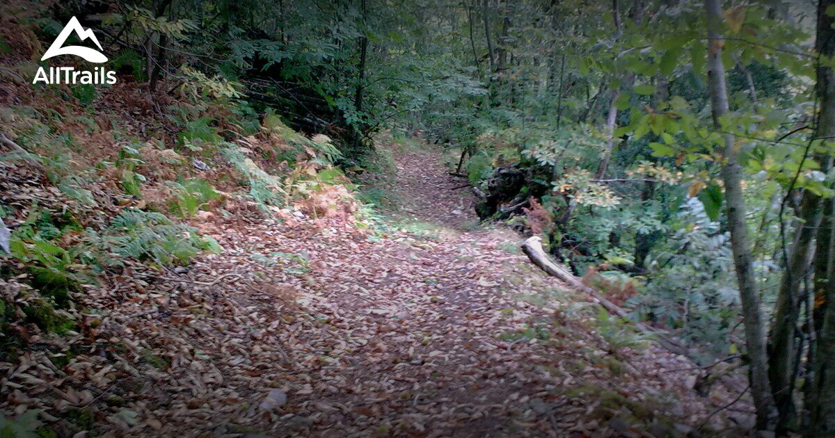 Best hard trails in Boal | AllTrails