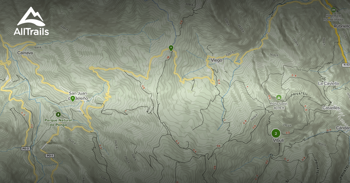 10 Best forest trails in Ponga | AllTrails