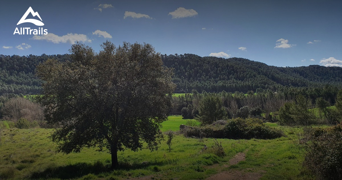 Best forest trails in Avinyó | AllTrails