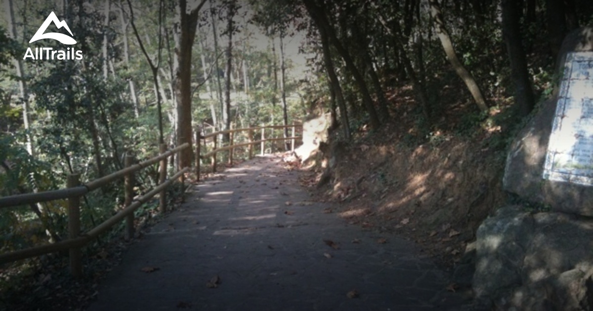 Best river trails in Gualba | AllTrails