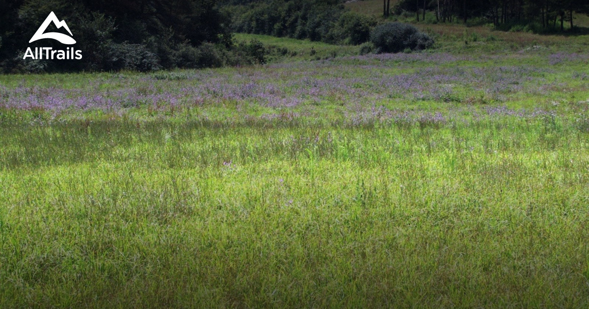 Best moderate trails in Sant Boi de Lluçanès | AllTrails