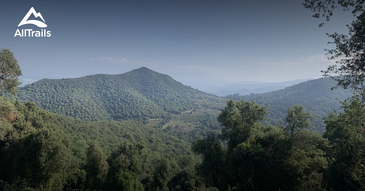 Los mejores senderos largas en Santa Maria de Martorelles | AllTrails
