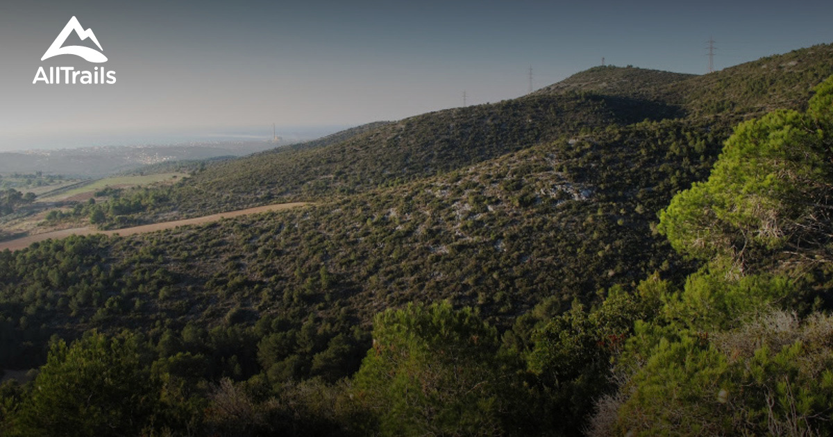 10 Best trails and hikes in Vilanova i la Geltrú | AllTrails