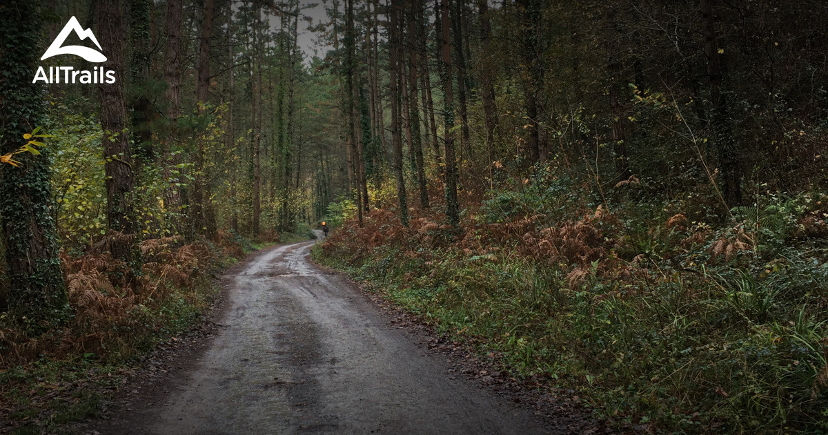 Best hikes and trails in Arrigorriaga | AllTrails