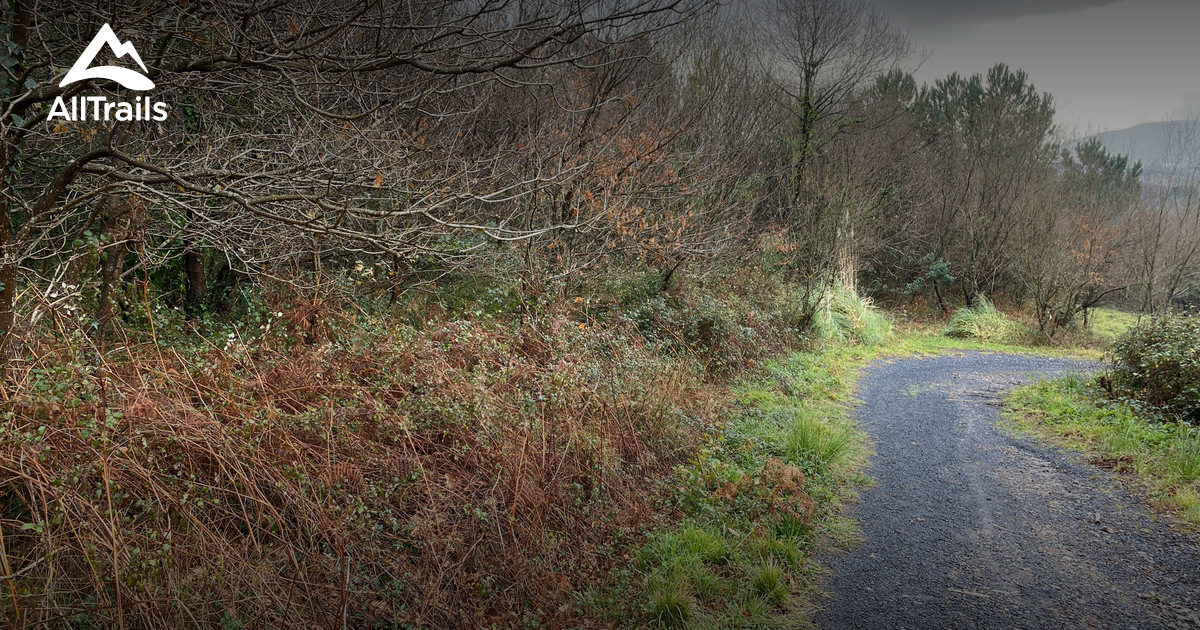 Best forest trails in Berango | AllTrails