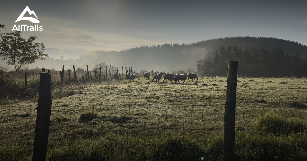Best hikes and trails in Guernica | AllTrails