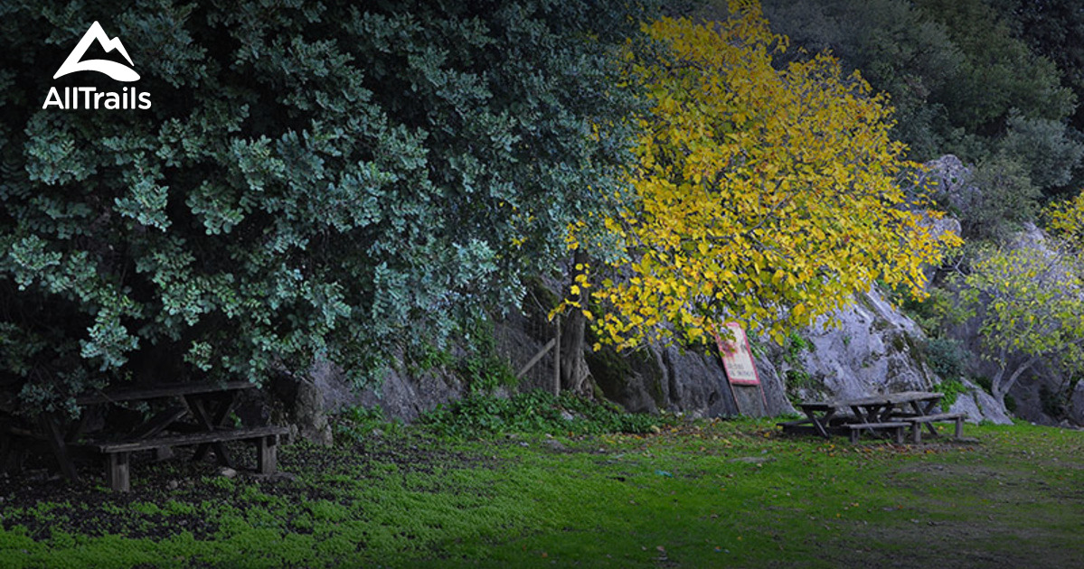 Best Hikes and Trails in Olvera | AllTrails