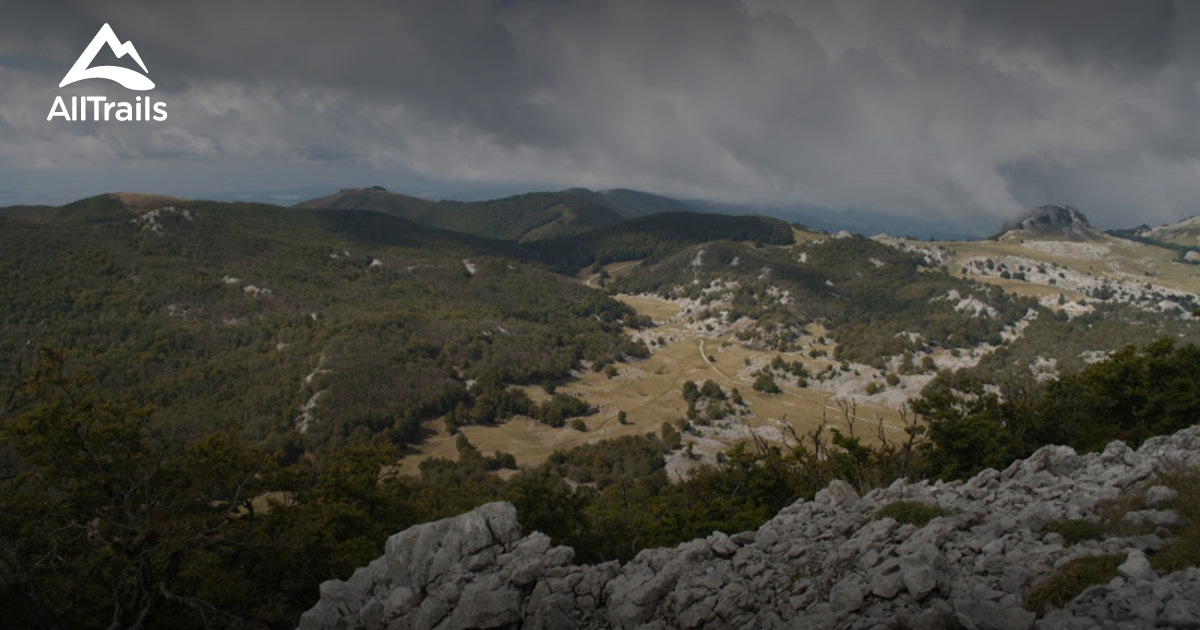10 Best Hard Trails in Zegama | AllTrails