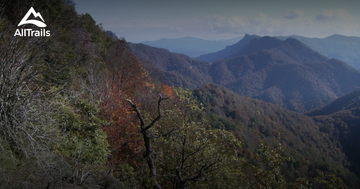 Best camping trails in Vidrà | AllTrails