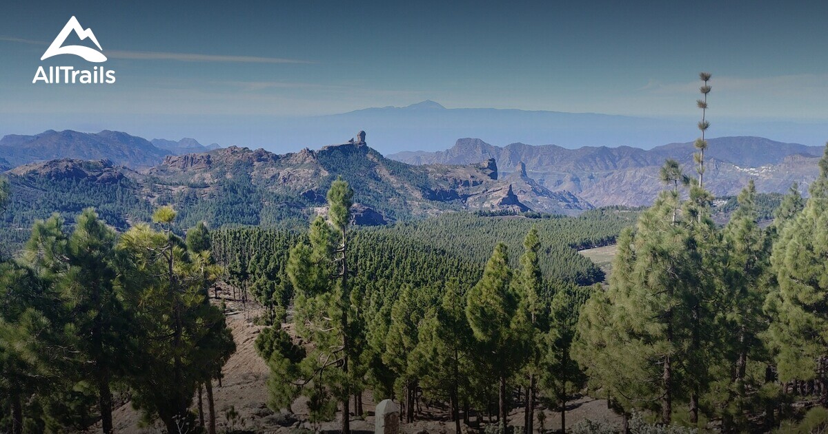 10 Best trails and hikes in Tejeda | AllTrails