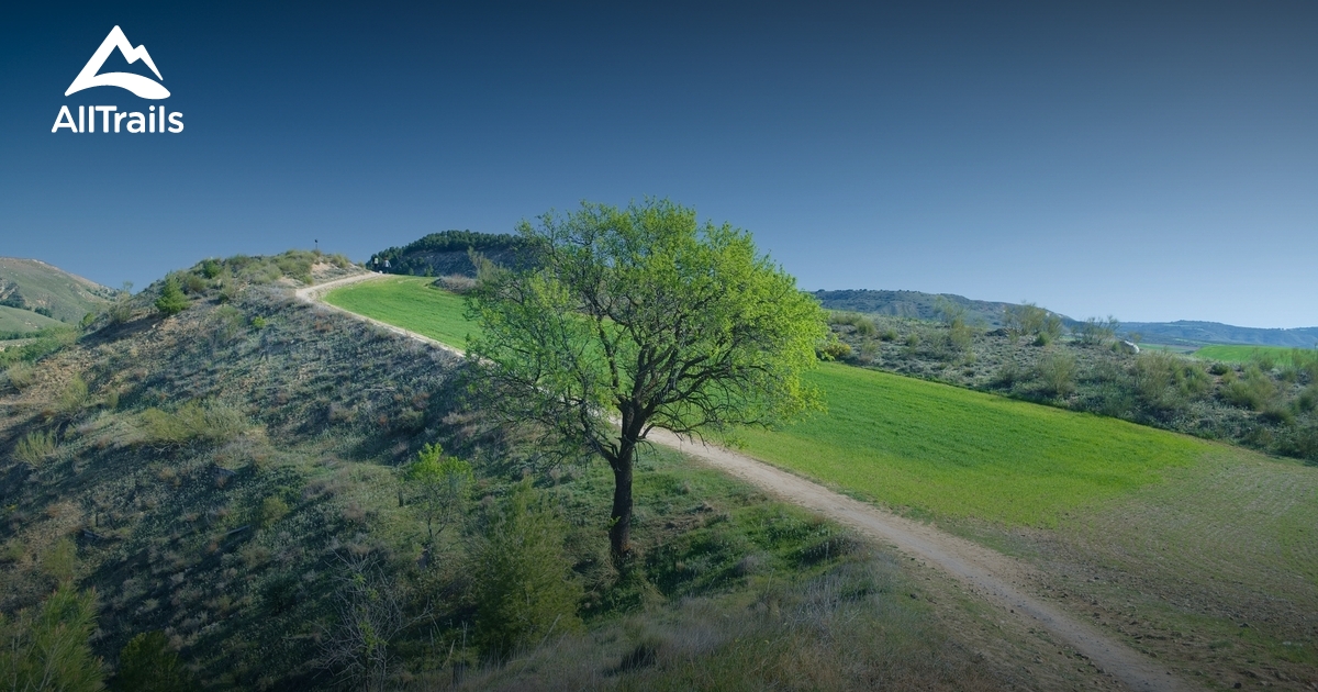 10 Best trails and hikes in Alcalá de Henares | AllTrails