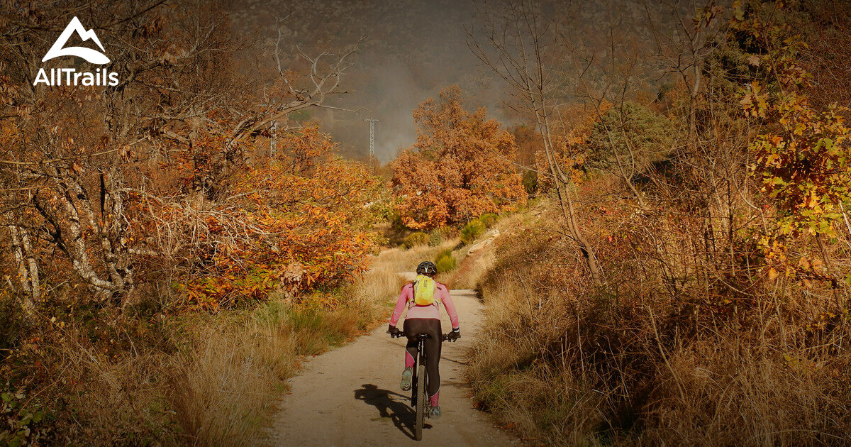 Best wildflower trails in Navalagamella | AllTrails