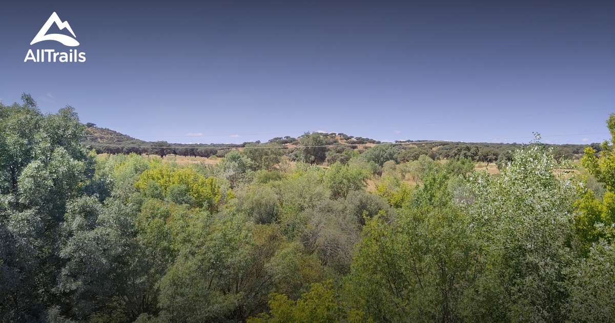 Best lake trails in Pozuelo de Alarcón | AllTrails