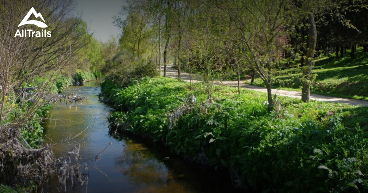 10 Best Trails, Walks, and Paths in Villaviciosa de Odón | AllTrails