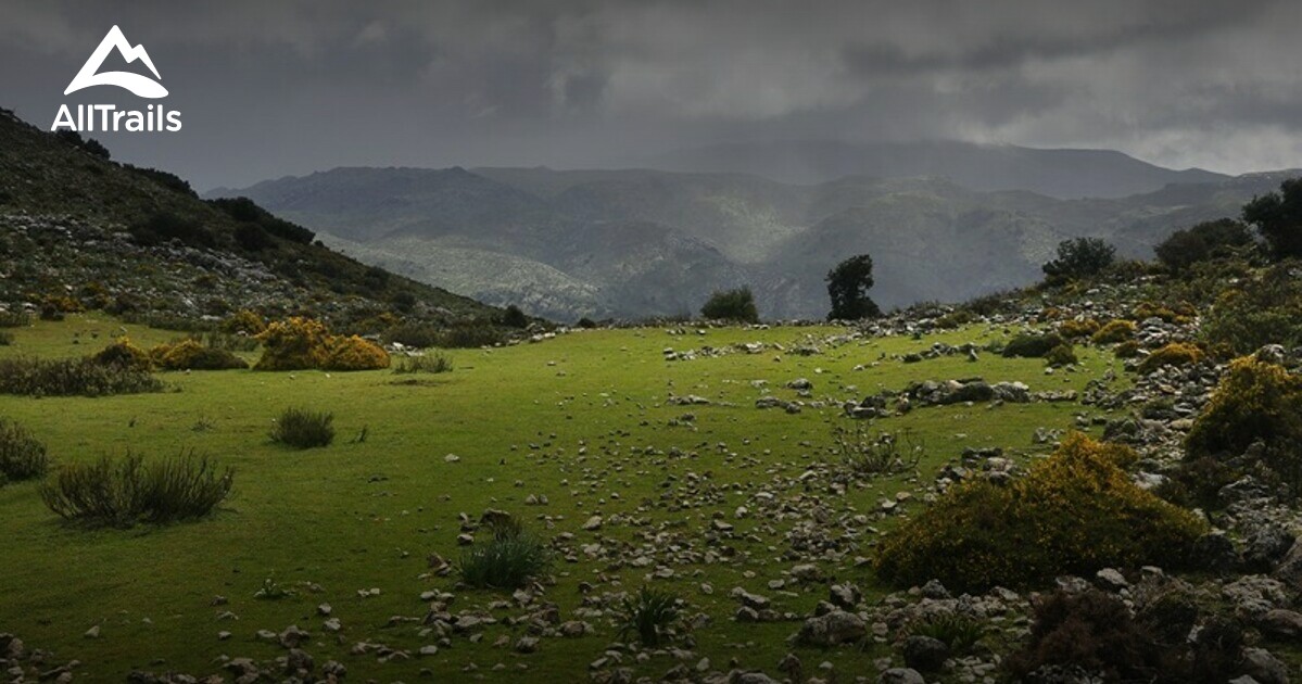 Best Trails, Walks, and Paths in Benaoján | AllTrails