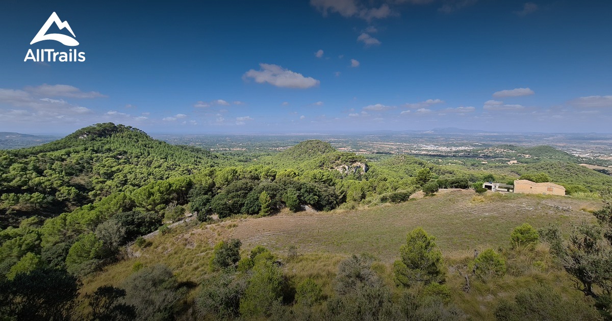 10 Best trails and hikes in Felanitx | AllTrails
