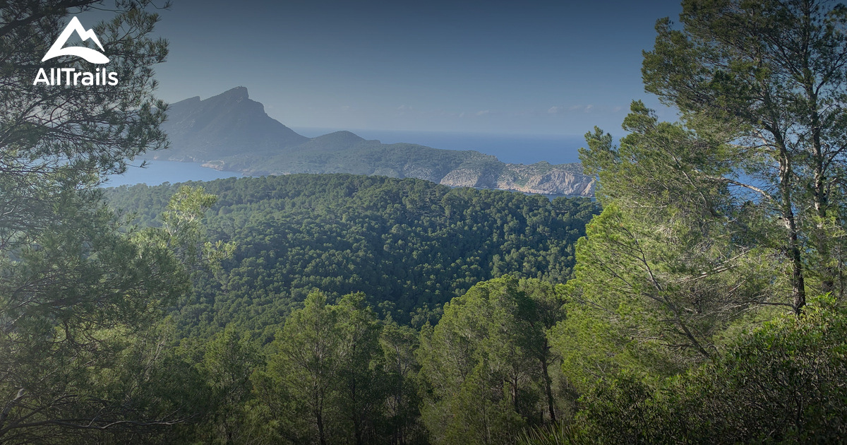 Best hikes and trails in Port d'Andratx | AllTrails