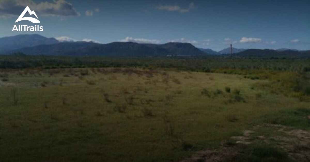 Best Trails, Walks, and Paths in Sa Pobla | AllTrails