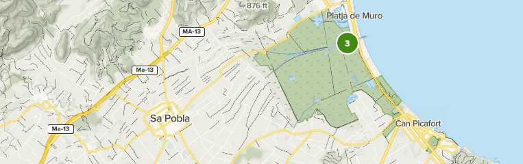2023 Best Trails, Walks, and Paths in Sa Pobla | AllTrails
