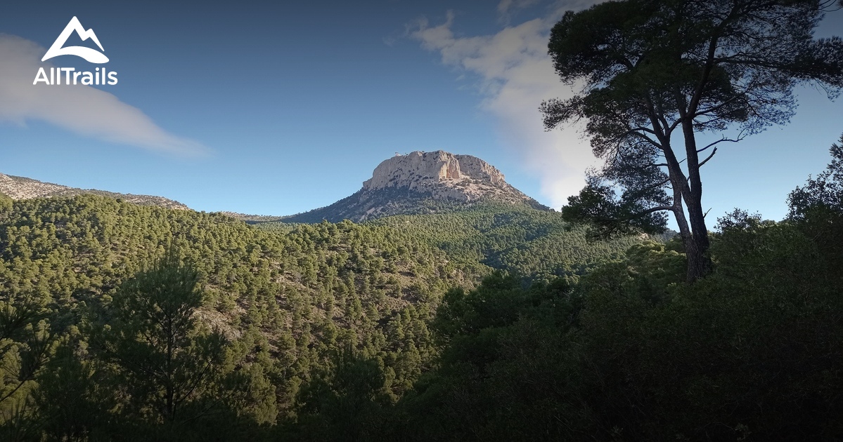 I migliori sentieri per mountain bike di Aledo | AllTrails