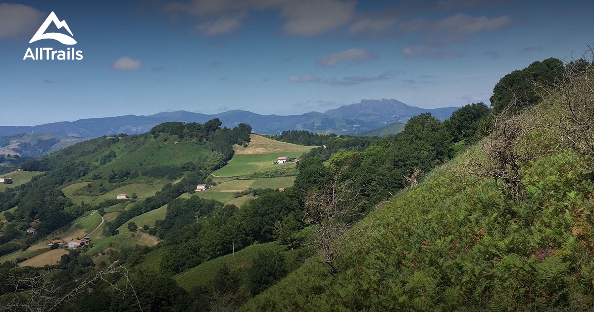 Los mejores senderos por bosque en Echalar | AllTrails