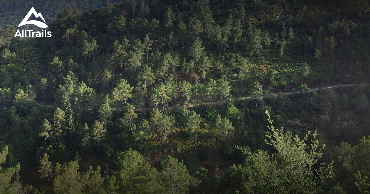 Bästa skogslederna i Boborás | AllTrails