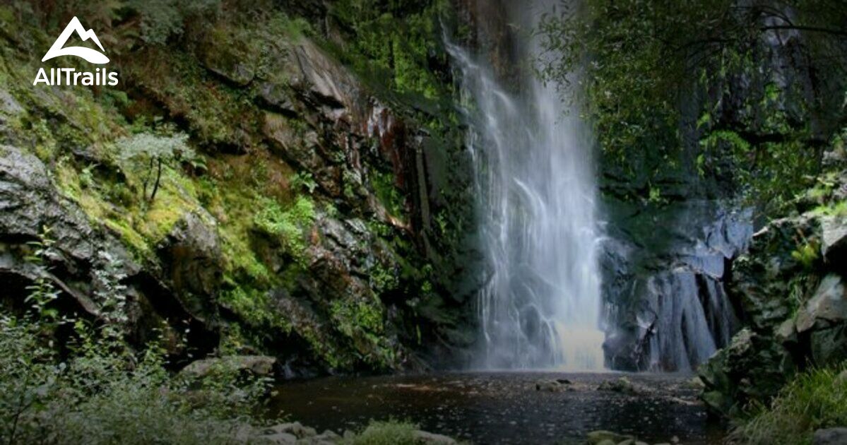 Best views trails in Silleda | AllTrails