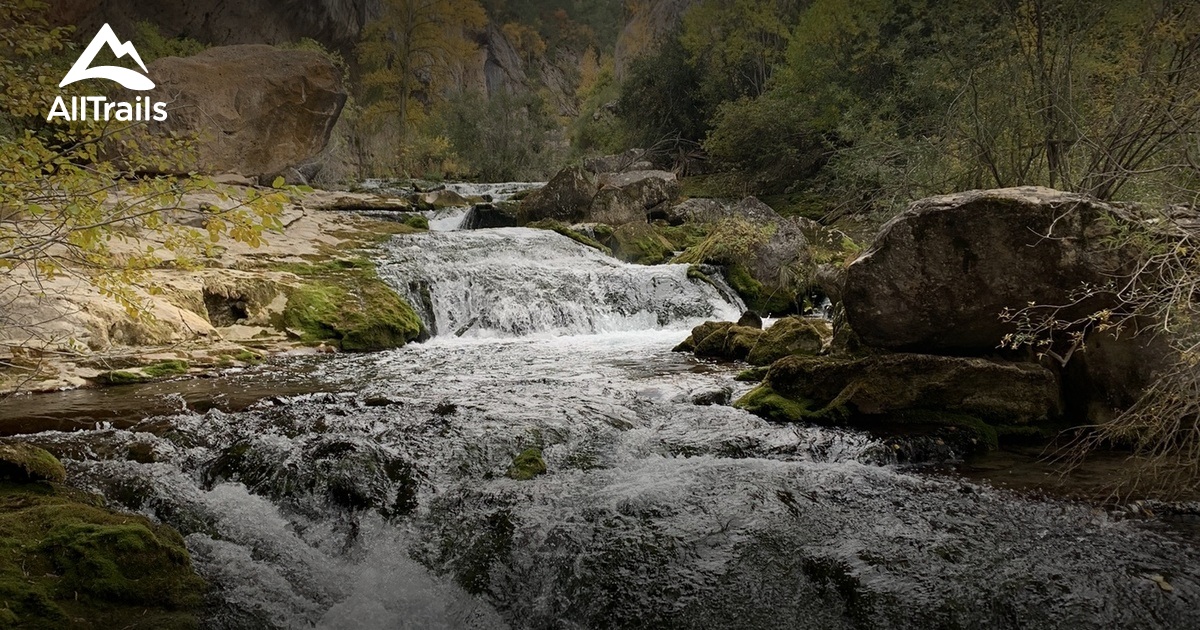 2023 Best Wild Flowers Trails in Pitarque | AllTrails