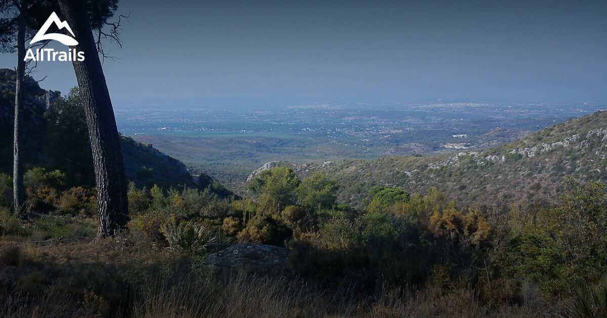 Best hikes and trails in Bétera | AllTrails
