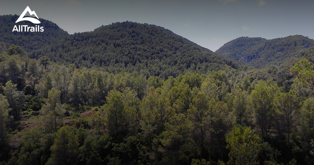 2023 Best Trails, Walks, and Paths in Bicorp | AllTrails