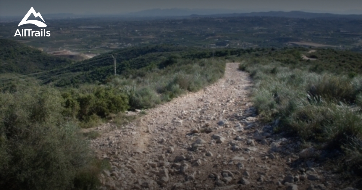 Best forest trails in Chiva | AllTrails