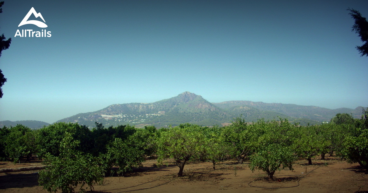 Best hikes and trails in El Puig De Santa Maria | AllTrails