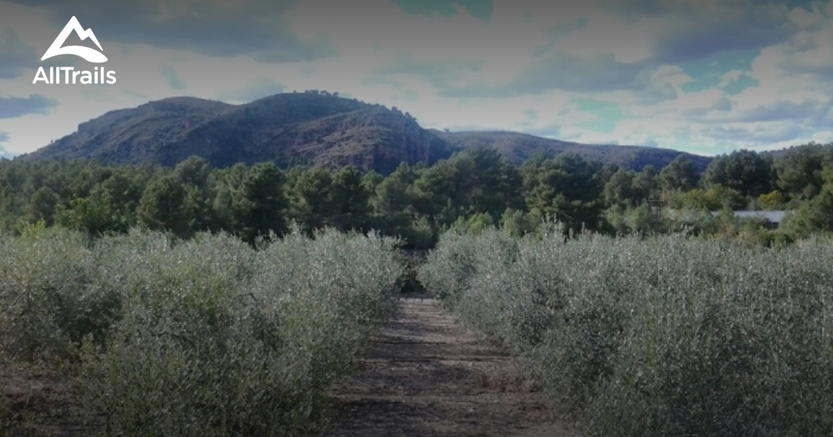 10 Best trails and hikes in Olocau | AllTrails