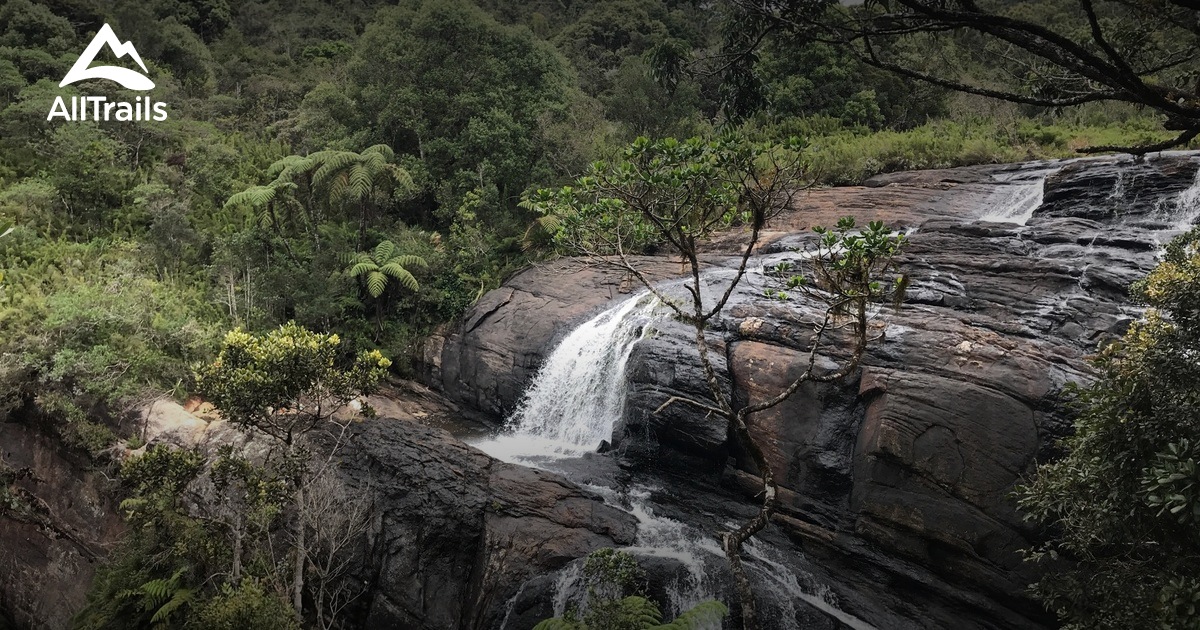 Best views trails in Haputale | AllTrails