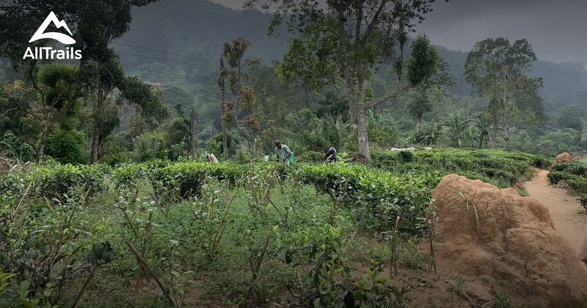 Best hikes and trails in Kithal Ella | AllTrails